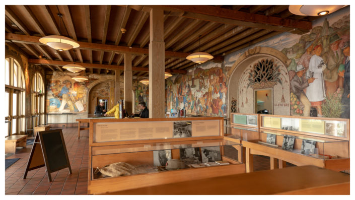 Golden Gate Park Loop in San Francisco | Modern Hiker