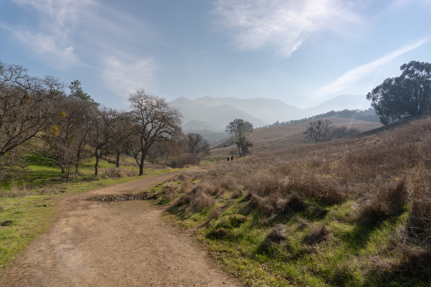 Mount Diablo Waterfall Loop | Modern Hiker