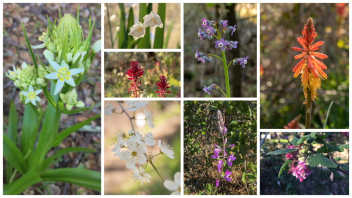 Edgewood Park and Natural Preserve Loop | Modern Hiker