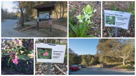 Edgewood Park and Natural Preserve Loop | Modern Hiker