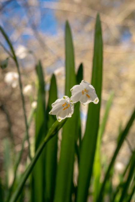 Edgewood Park and Natural Preserve Loop | Modern Hiker