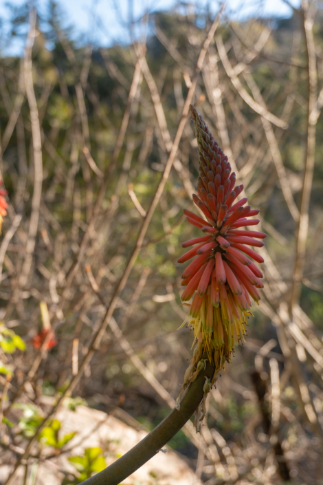 Edgewood Park and Natural Preserve Loop | Modern Hiker