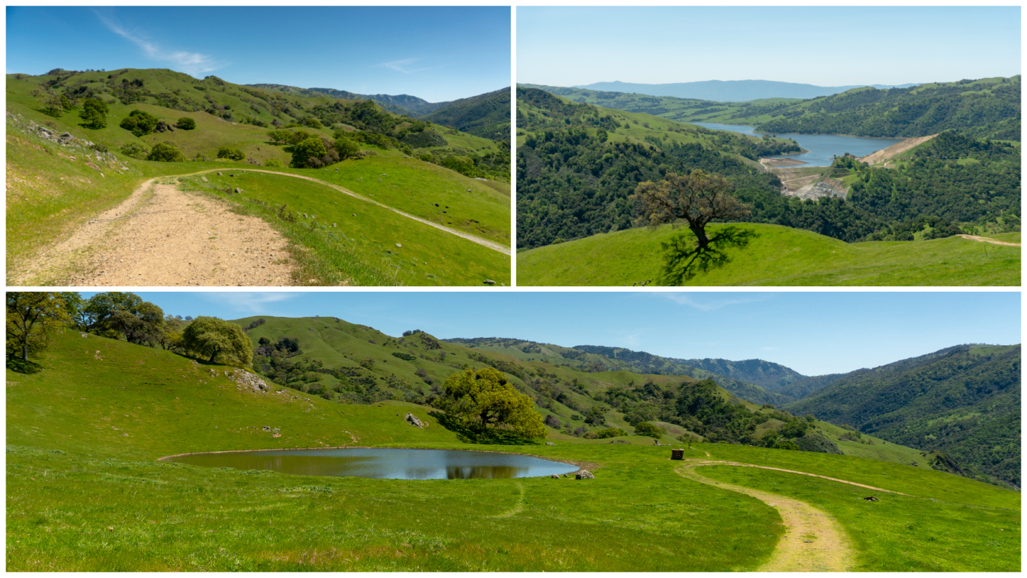 Sunol Grand Loop | Modern Hiker