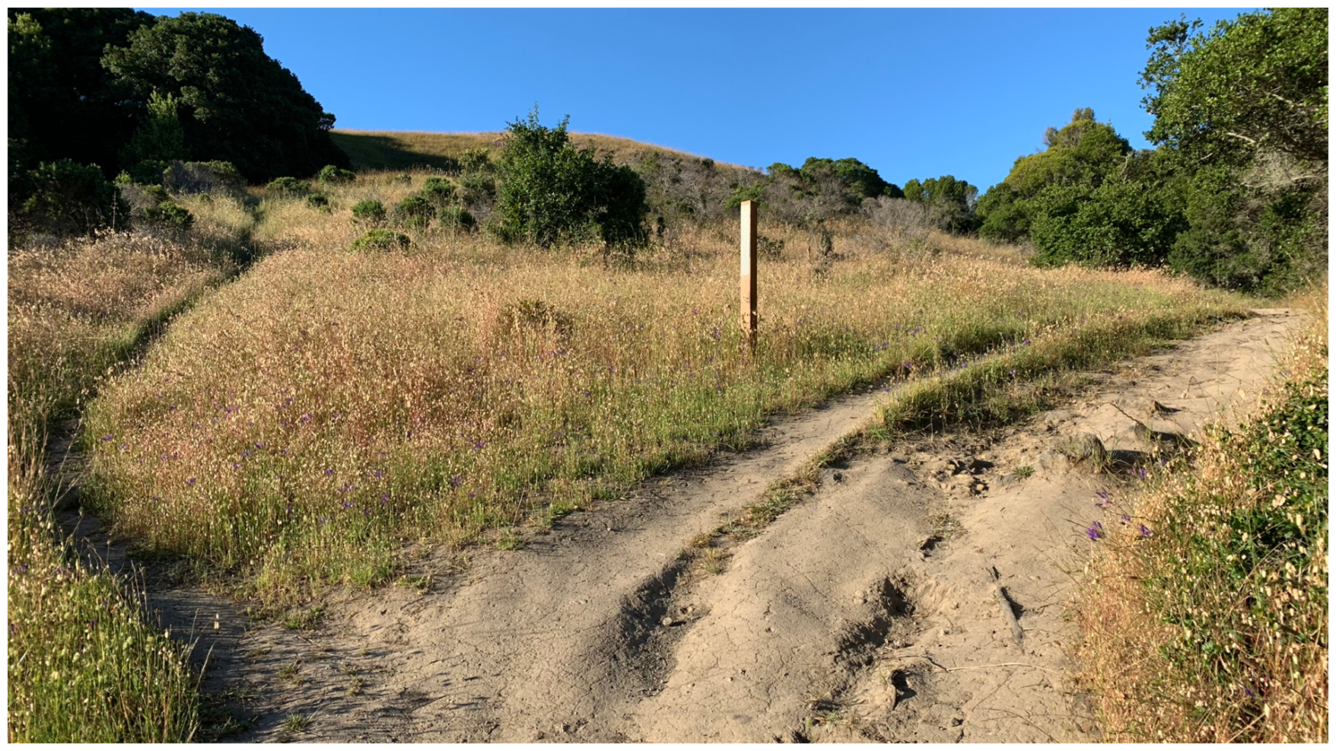Ring Mountain Preserve Loop | Modern Hiker