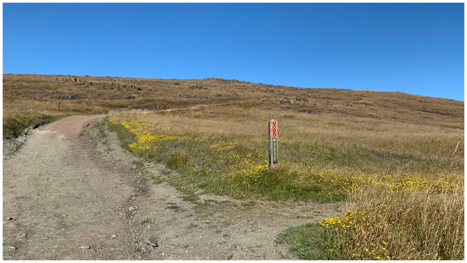 Ring Mountain Preserve Loop | Modern Hiker