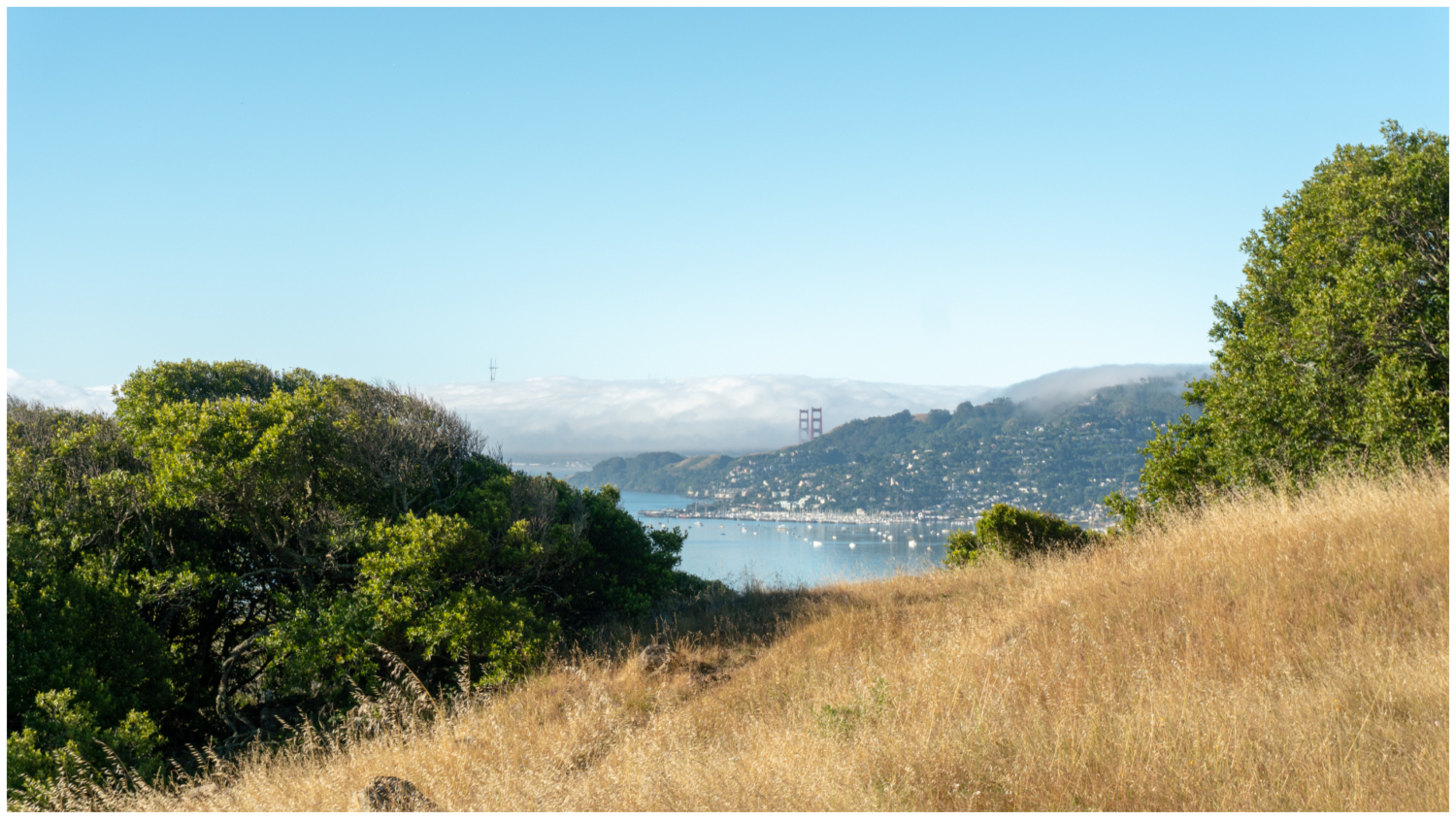 Ring Mountain Preserve Loop | Modern Hiker