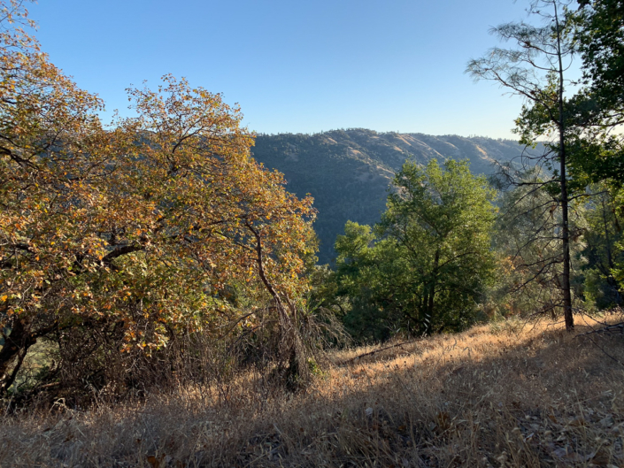Mount Sizer Loop | Modern Hiker