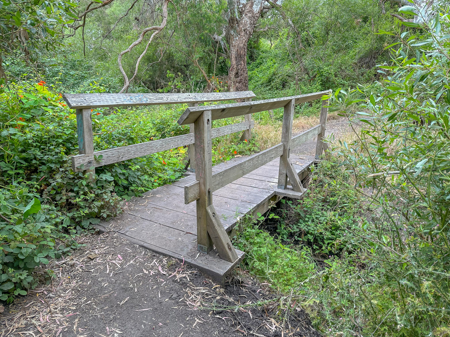 Natural Bridges Wildlife Loop | Modern Hiker