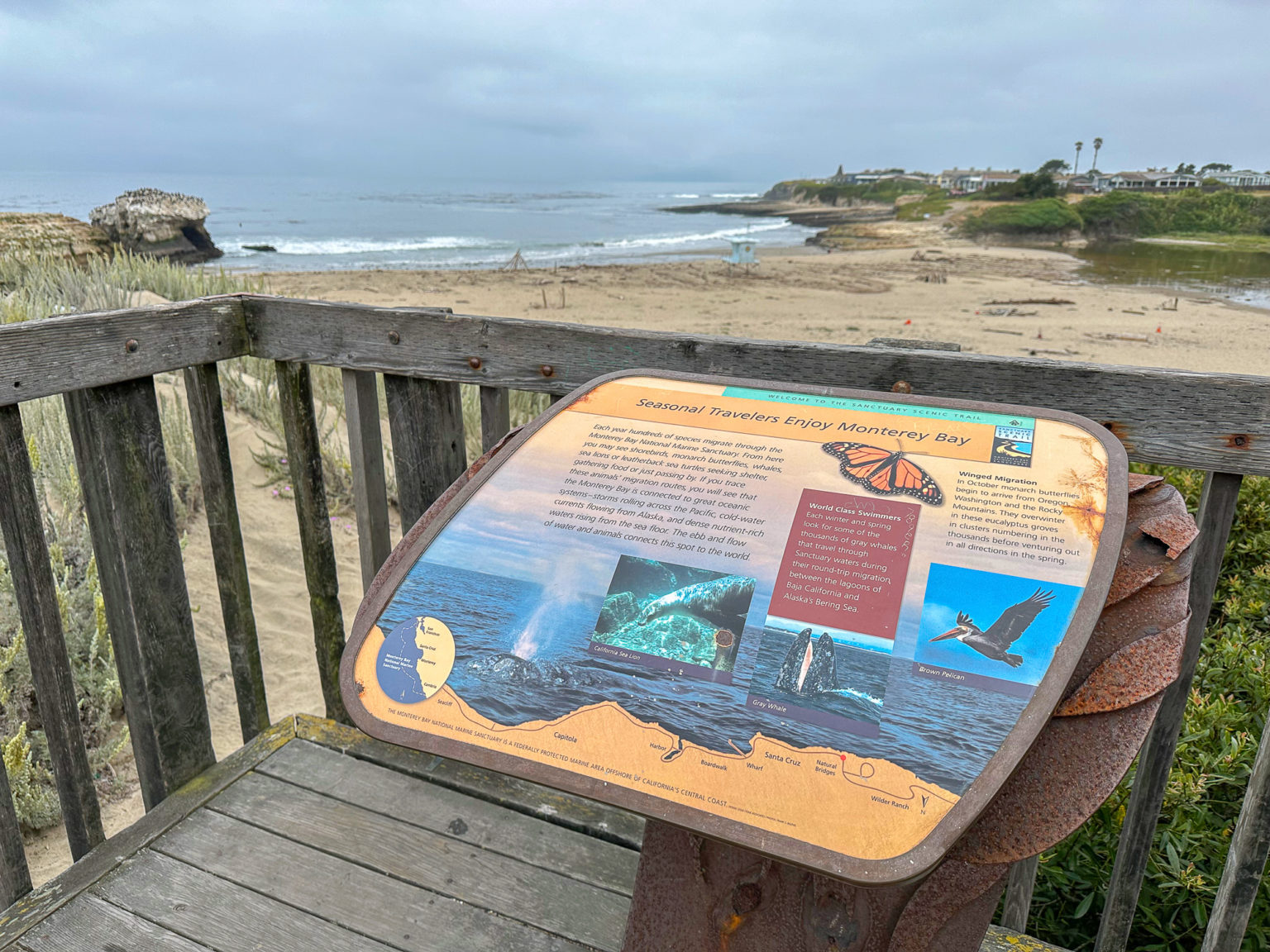 Natural Bridges Wildlife Loop | Modern Hiker