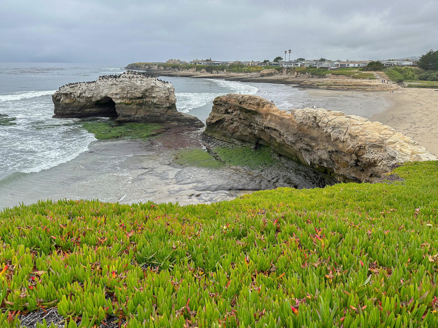 Natural Bridges Wildlife Loop | Modern Hiker