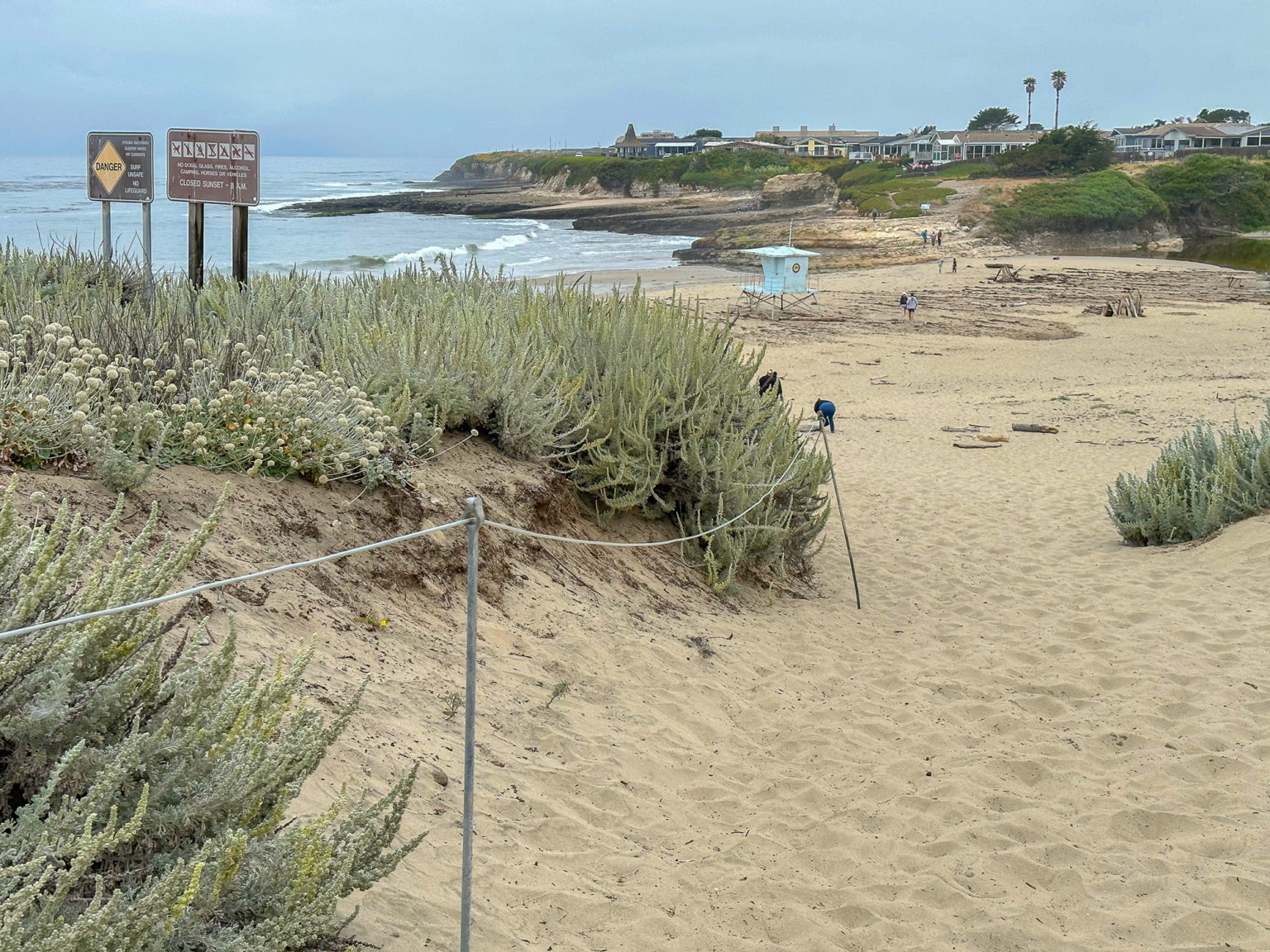 Natural Bridges Wildlife Loop | Modern Hiker