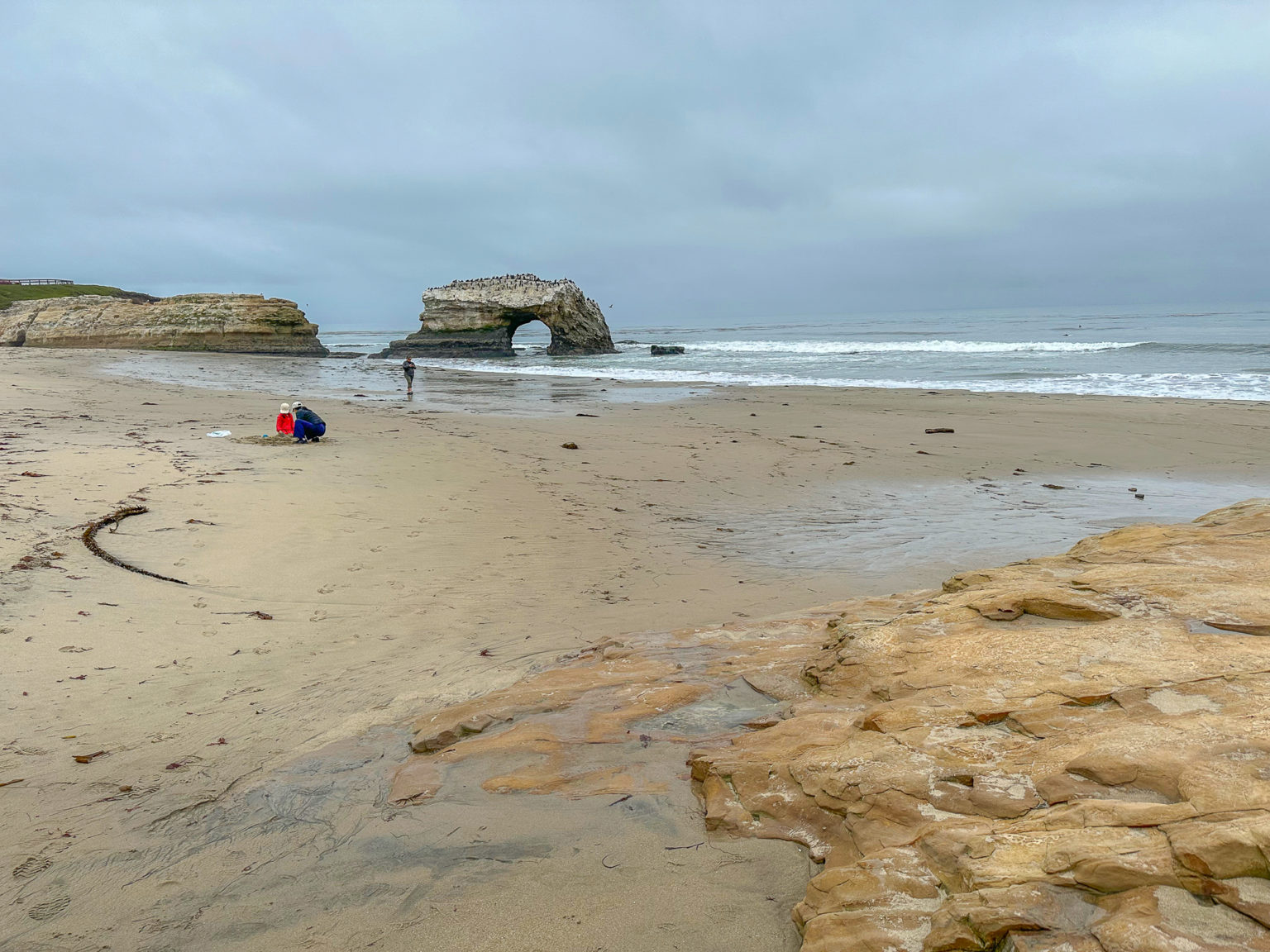 Natural Bridges Wildlife Loop | Modern Hiker