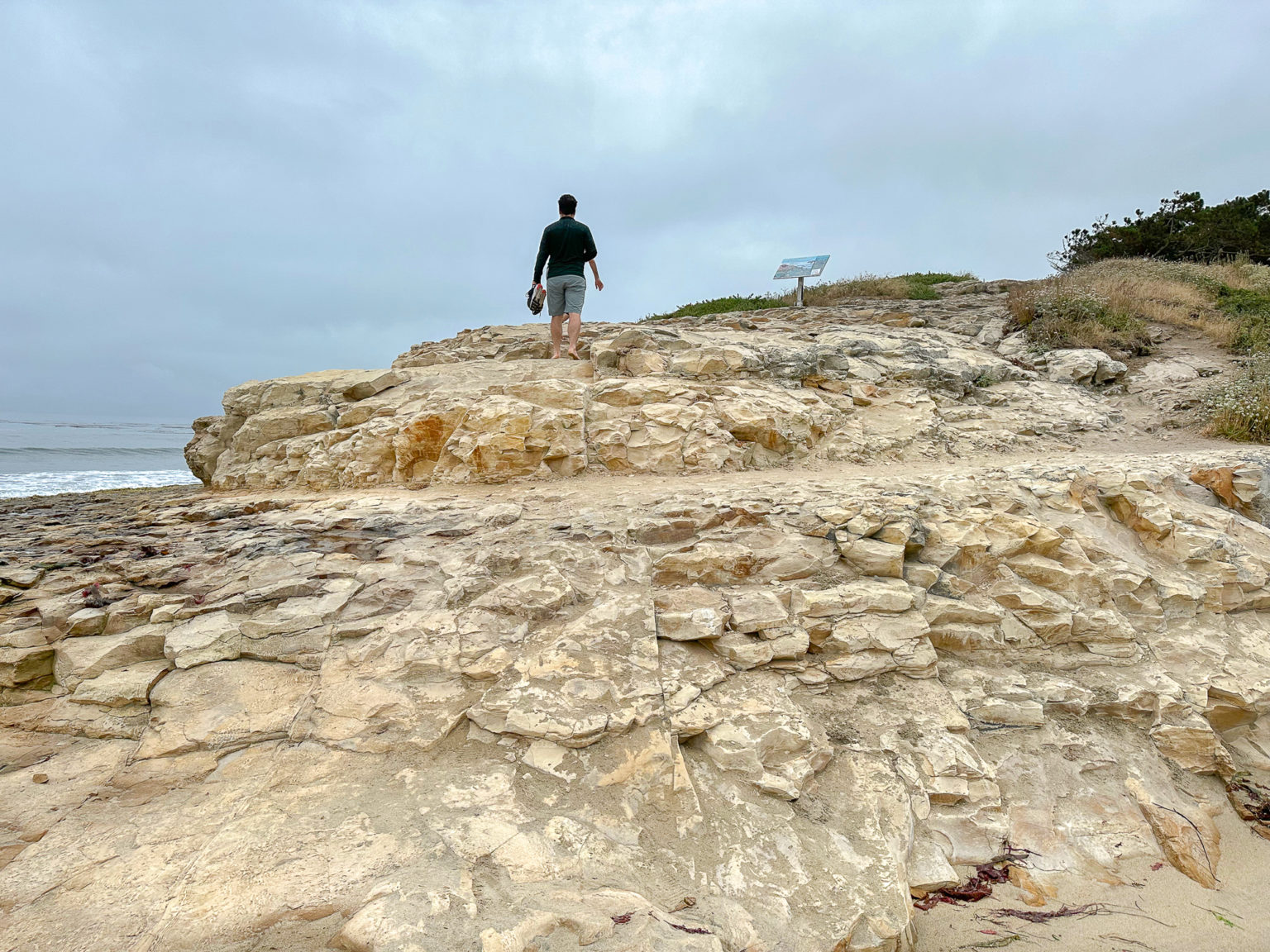 Natural Bridges Wildlife Loop | Modern Hiker