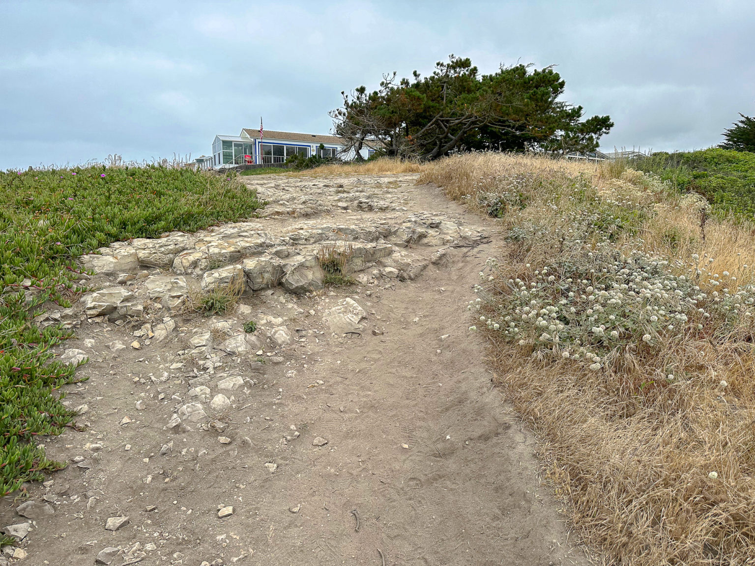 Natural Bridges Wildlife Loop | Modern Hiker
