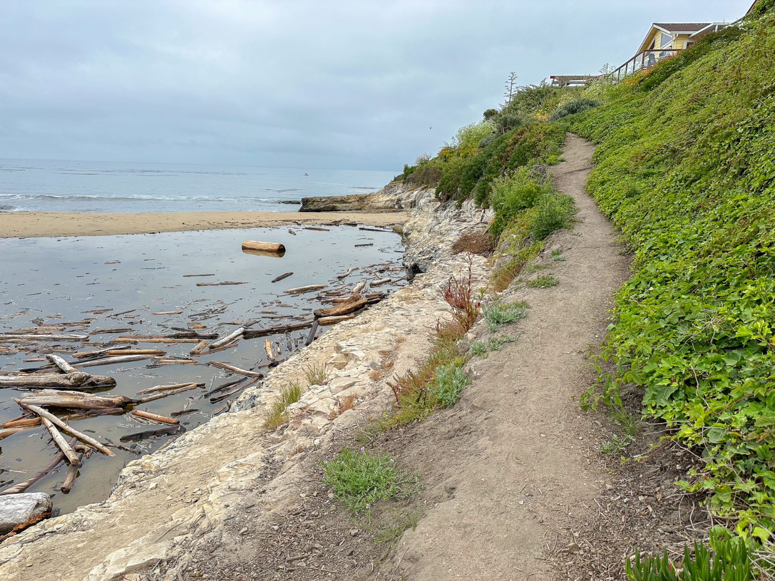 Natural Bridges Wildlife Loop | Modern Hiker