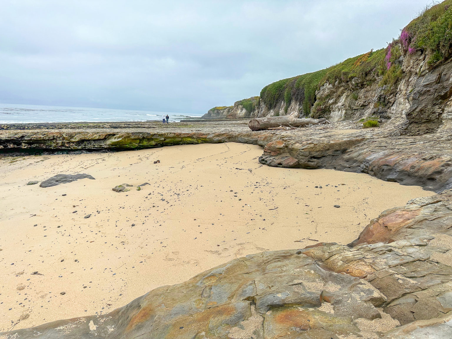 Natural Bridges Wildlife Loop | Modern Hiker