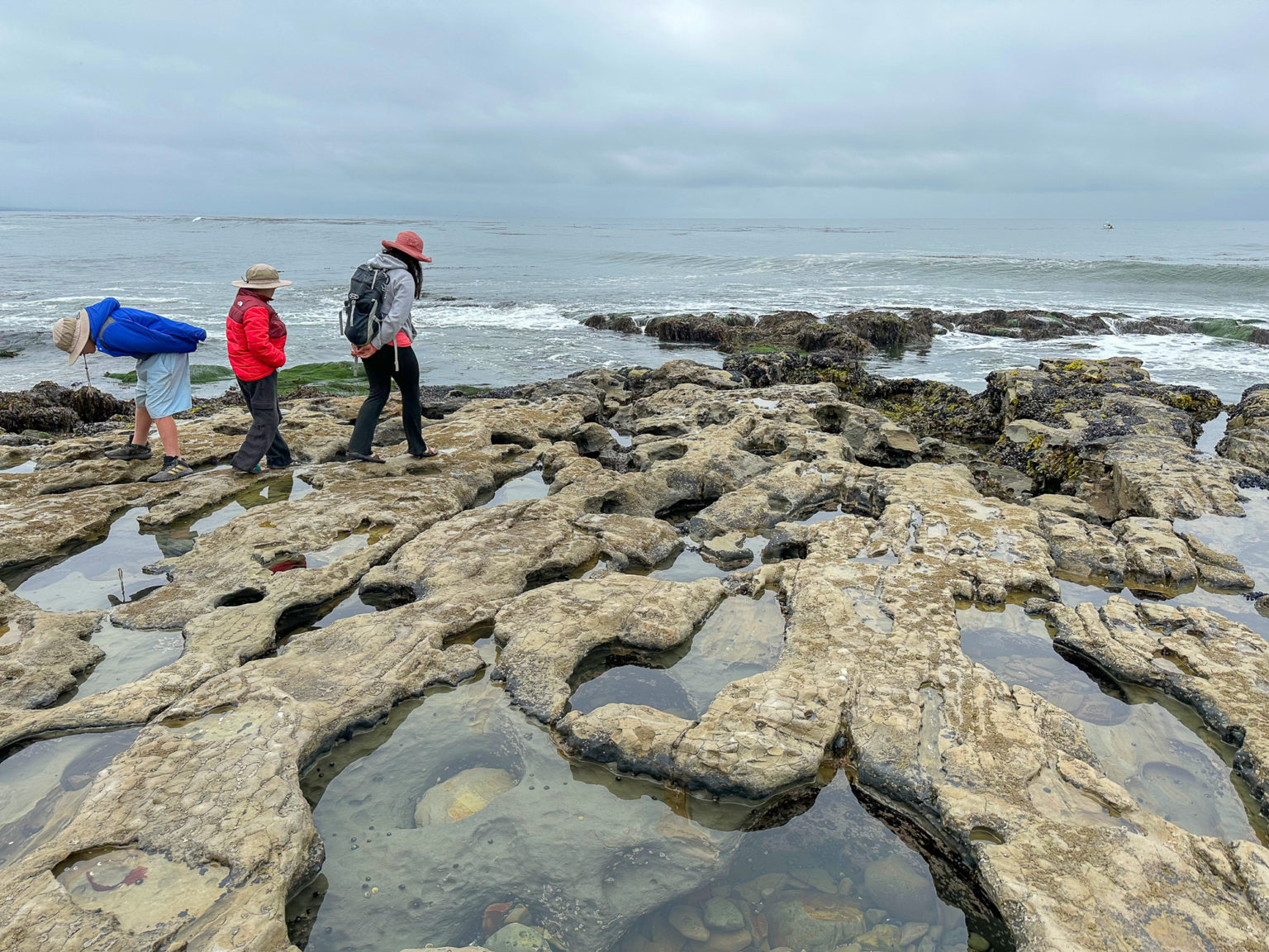 Natural Bridges Wildlife Loop | Modern Hiker