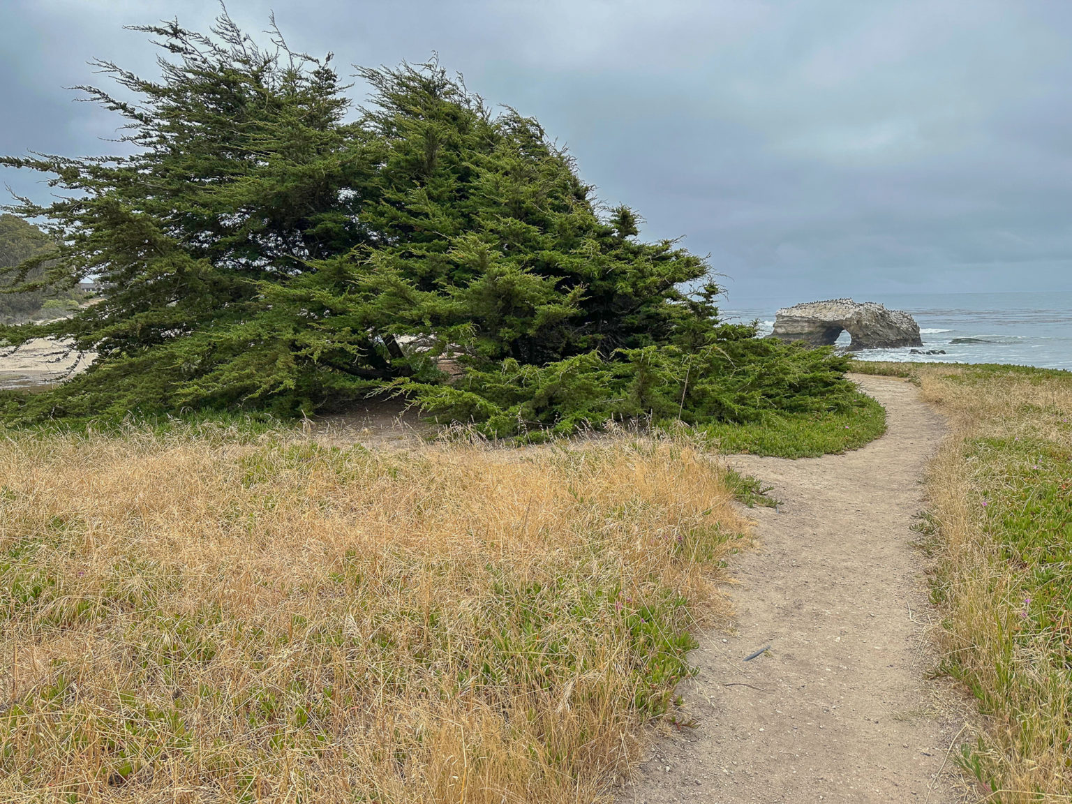Natural Bridges Wildlife Loop | Modern Hiker
