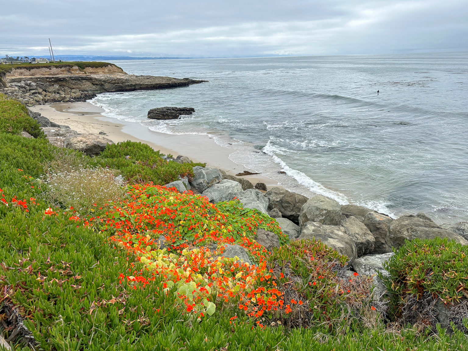 Natural Bridges Wildlife Loop | Modern Hiker