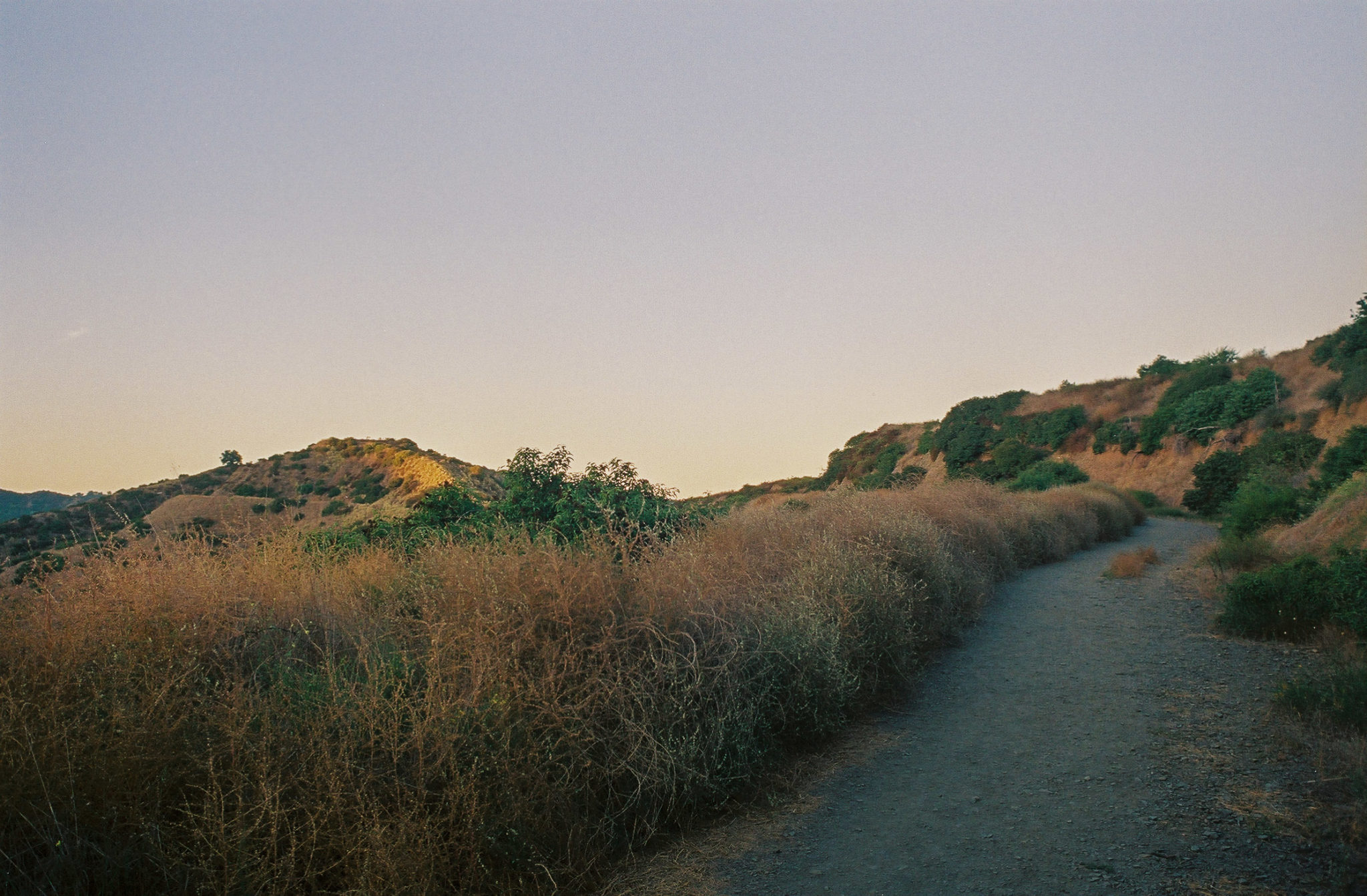 Getty View Trail | Modern Hiker