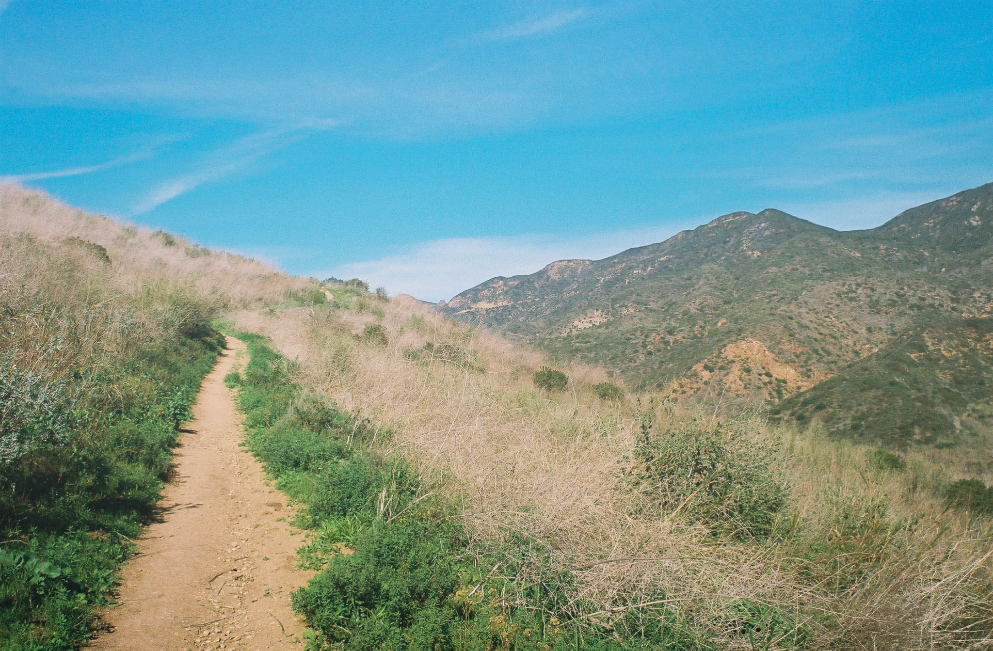 Canyon and Ocean View Loop | Modern Hiker