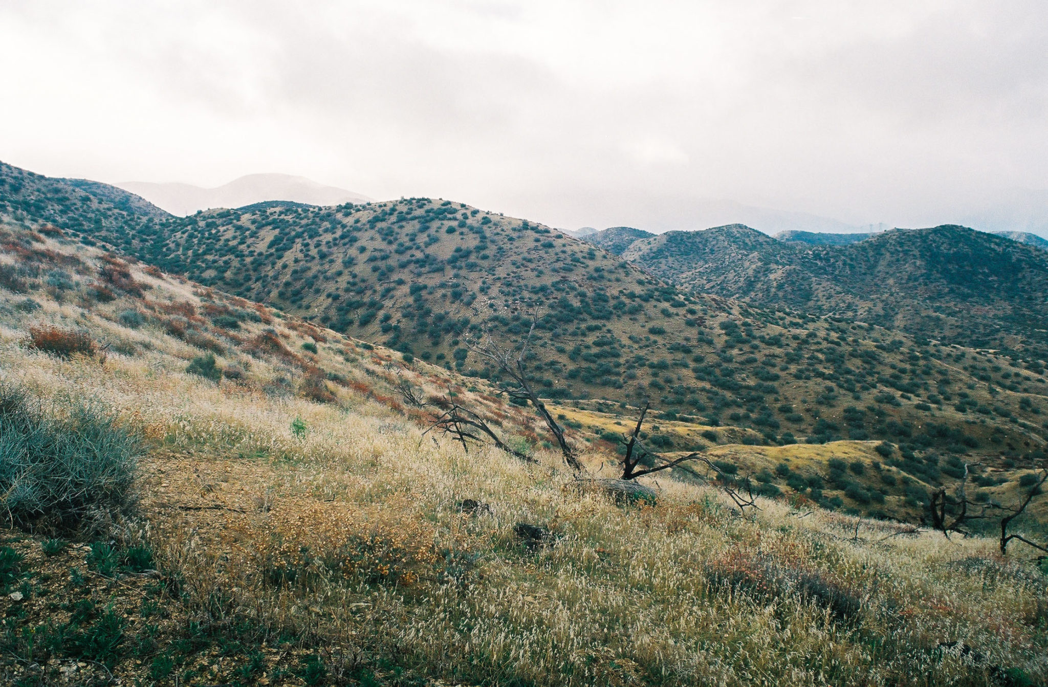 Mount Emma and Old Mount Emma Trail | Modern Hiker