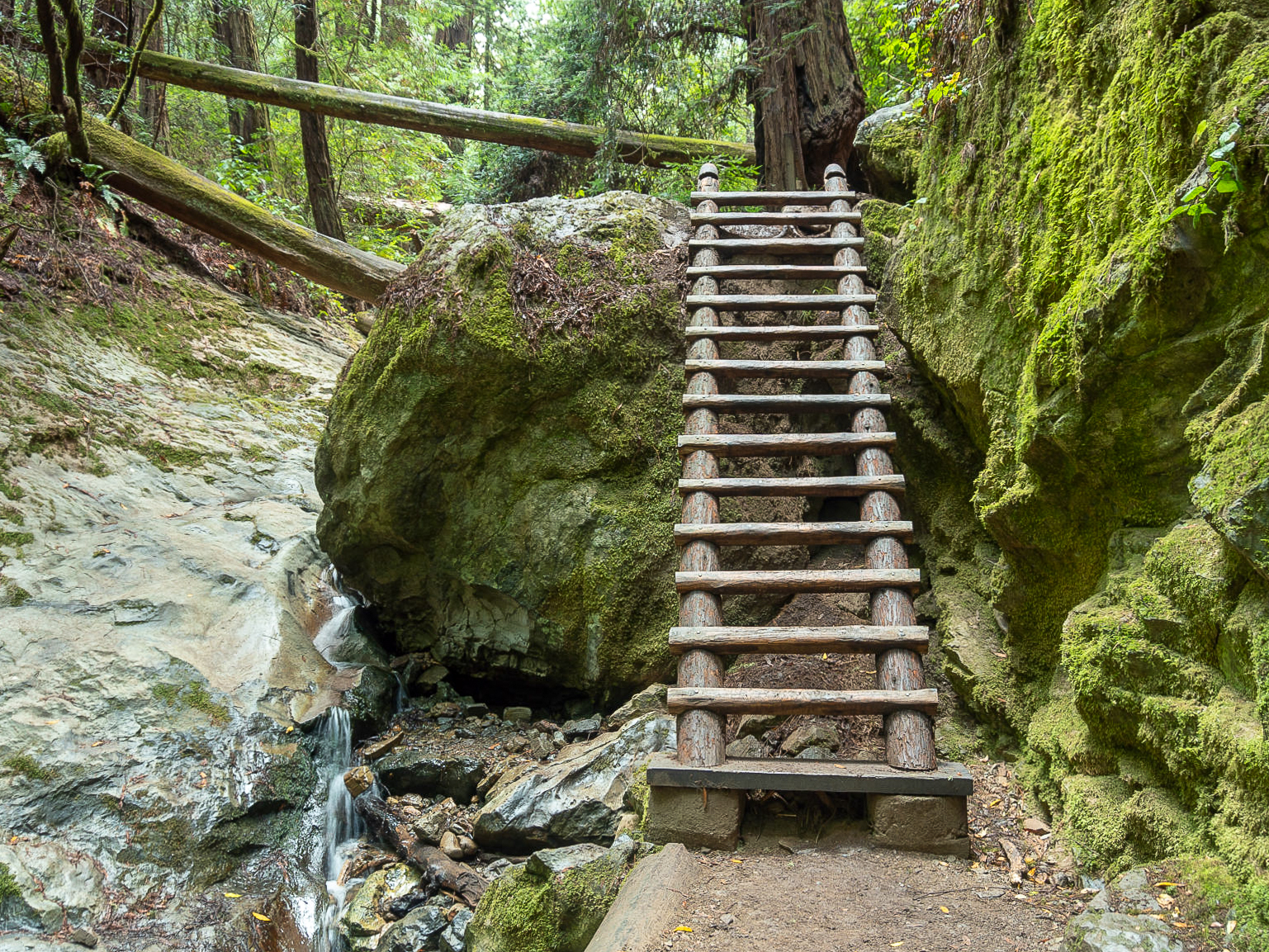 15 Refreshing Creek Hikes in the Bay Area | Modern Hiker